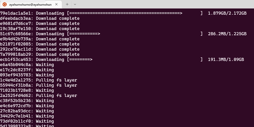 gpt-j-6b-gpu-dockerをWSL2に入れたUbuntu環境下で動作させ…【Windows11】 - 心のデブを信じろ